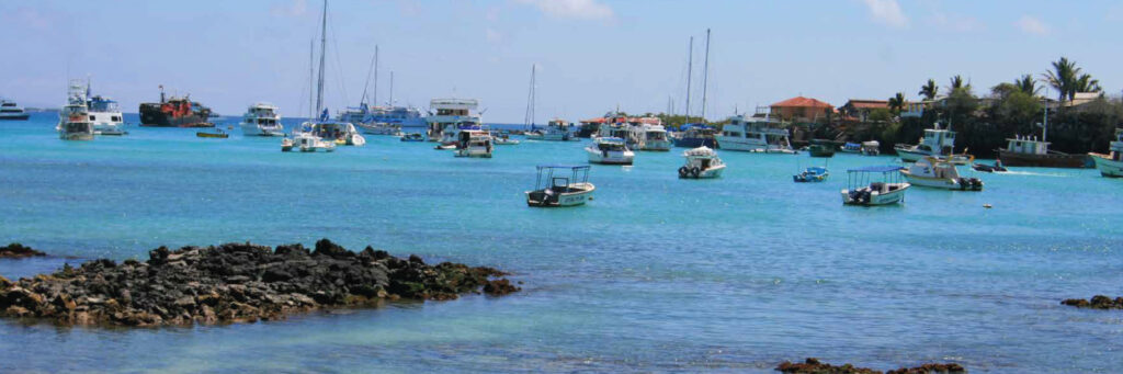 Sobre galápagos - Ecogal